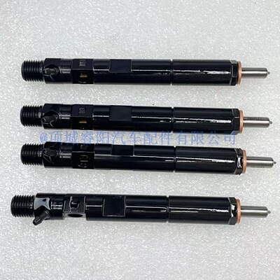 直售质保28237259 166000897R 28232234 EJBR05601D共轨喷油器