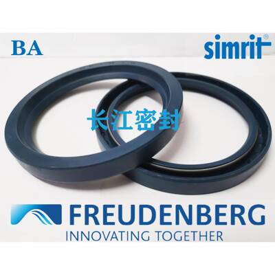 SIMMERRINGBA86-110-13CFW145-175-15德国进口单唇口DIN3760A