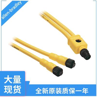 罗克韦尔电缆889D-R4UE-10889D-R4UE-15