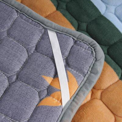 冬季加厚牛绒床垫夹02231棉床护垫防静电法莱绒学秋生舍保护宿奶