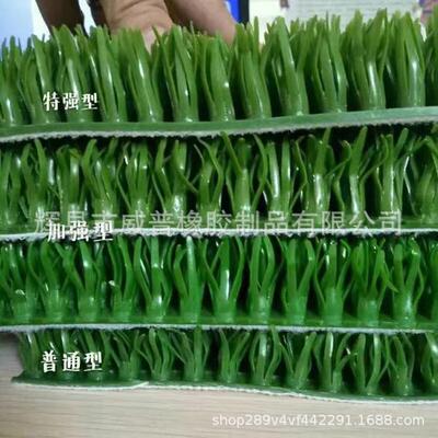非洲滑淘金草吸金沾金增金收金用XJC0004坚实耐磨加厚防衬底耐磨