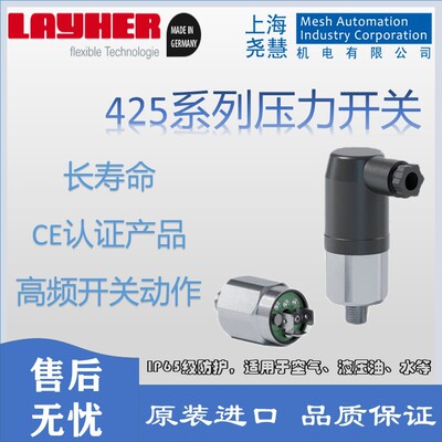 德国LAYHER压力开关 50-200bar NO VITON Seal G1/4