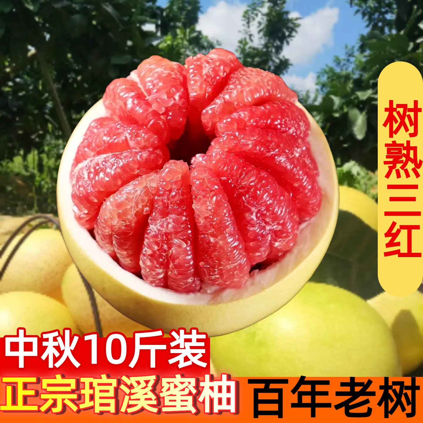 正宗红心柚子蜜柚三红肉海南现摘叶琯溪新鲜水果应当季整箱