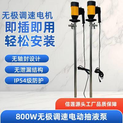 信莲HD-E2-V+SS304-1000HP调速插桶泵不锈钢电动抽液泵汽油桶泵
