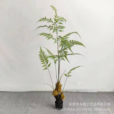 仿头蕨物金毛狗25819蕨假树室内中式园林系庭院造景猴装真饰绿植