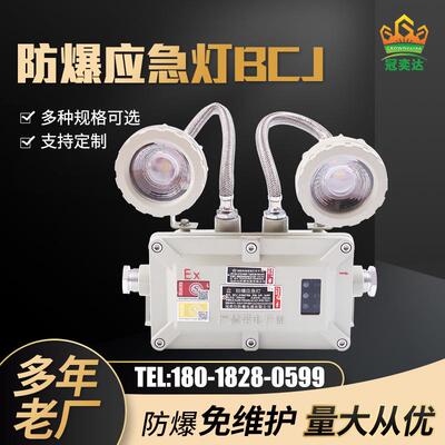 LED防爆应急灯BCJ楼道车间仓库应急双头灯疏散照明出口指示灯