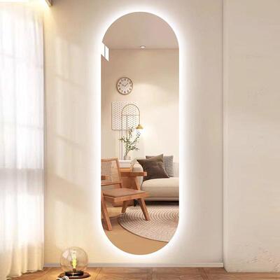 椭能圆形智全身穿衣镜lDM04110ed镜带灯试衣异形光客厅子发装饰