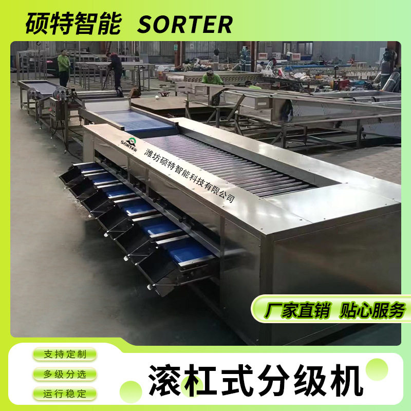 滚杠式直径分选机 大小果选果机 商用大型土豆分级机硕特厂家生产