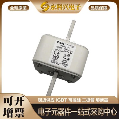 全新巴斯曼快速熔断器170M6217/6218/6219/6220/6221/3408/3409