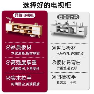 视客厅家用小户型出租屋用20视25新款现代简约柜落地简易LUM电机