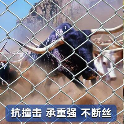 RCX镀锌勾网养化殖果园围栏绿园林花网球场菱形网矿用勾花圈地铁