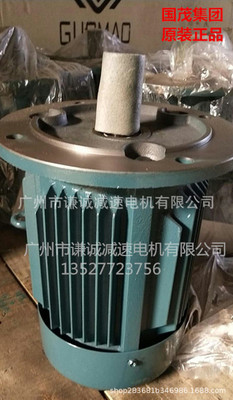 国茂2.2KW4极电机配减速机