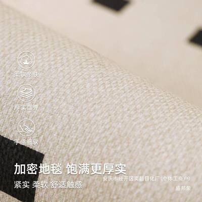 新款983感发免轻奢地垫满铺防污室防水用沙卧客家厅地毯打理