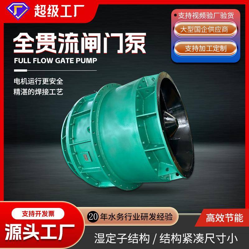 双向排灌一体化泵闸设备湿定子闸门泵闸门直连式全贯流泵