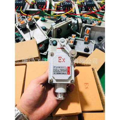 LA5821防爆控制按钮，8096防爆按钮生产