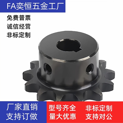 SPB/VLY01-06B3分9 11 2 3 4 5 6 7 8 9-20-40齿成品孔45钢链轮