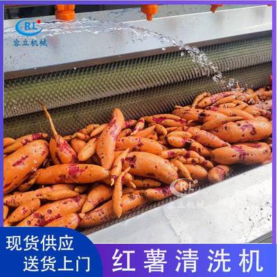 商用笋毛刷脱MUP皮机辊刷式葛桔梗洗去清泥根机全自竹动笋清洗机