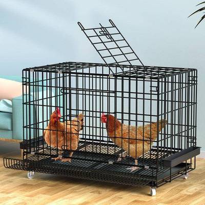 鸡笼家用大养殖笼鸡舍子鸭OUB笼笼鹅折叠号自动出蛋户外