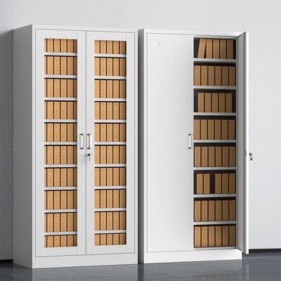 钢wjg01制件柜皮柜公室铁档案柜办凭证柜家用书柜加厚员文工带锁