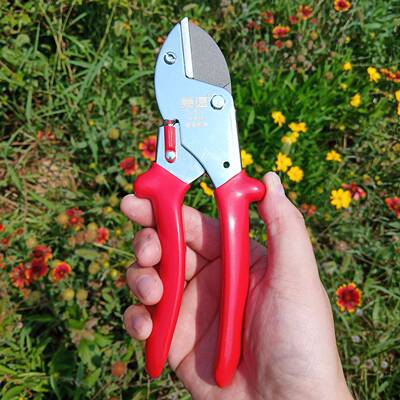 速S园J812修枝剪艺剪果树剪刀易速SJ81花艺花枝剪葡萄剪刀刀省易