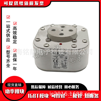 巴斯曼熔断器170M7058-7062