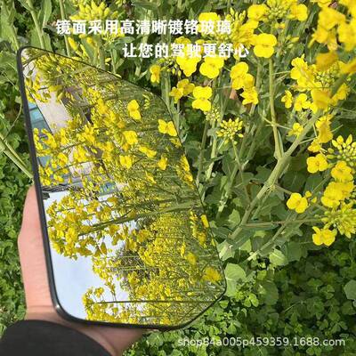 厂适用10428于福特F15004-10款镜倒车镜反光后镜倒车视镜片家直销