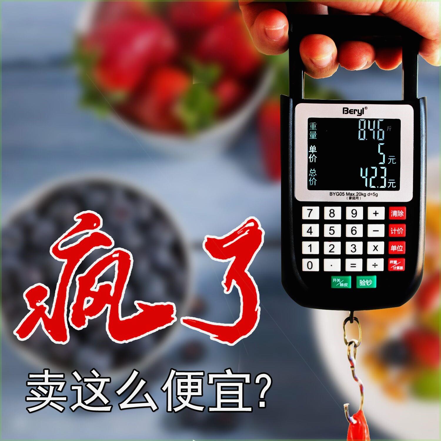 市场称菜高精度计价电子秤精准手提秤弹簧钩秤快递行李称家用买卖