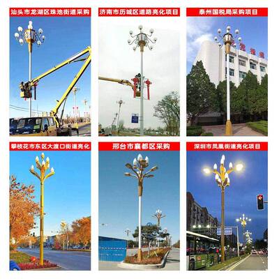 广EDK场杆灯道路led玉兰灯超8政米1米012米市工程景观中华灯亮户