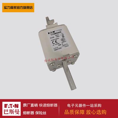 熔断器170M5776 170M5804 170M5805 170M5806 170M5807 170M6035