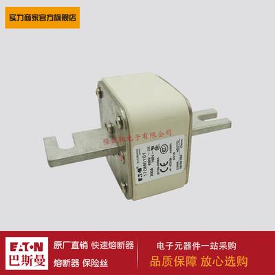 熔断器170M5167 170M5168 170M6158 170M6159 170M6160 170M6161