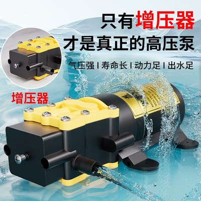 喷雾器水泵洗瓶器高压水泵隔膜泵电机电动喷雾器配件大全专用