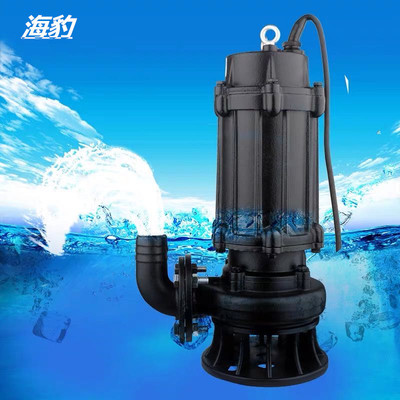 小型三相潜水排污泵高扬程工地