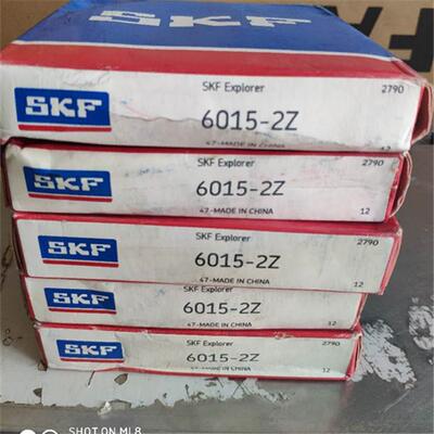 6015-2RS1 瑞典轴承6010 6011 6012 6013 6014 6015 6016 6001 60
