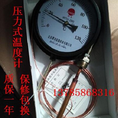压力式温度计WTZ-280压力式温度蒸汽压力式温度计锅炉浴池