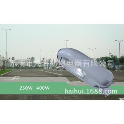 NLC9300道路灯250瓦 NLC9300-N250W马路灯250W路灯