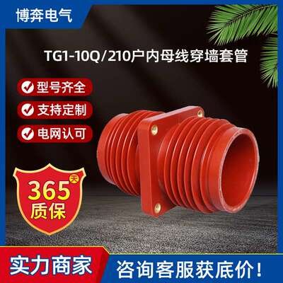 TG1-10Q/210.180.250.252户内母线穿墙套管125*125高压环网柜12KV