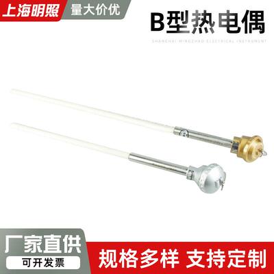 型热电11312偶耐高温电R型S分度99刚偶玉热管电热偶测温双铂铑电B