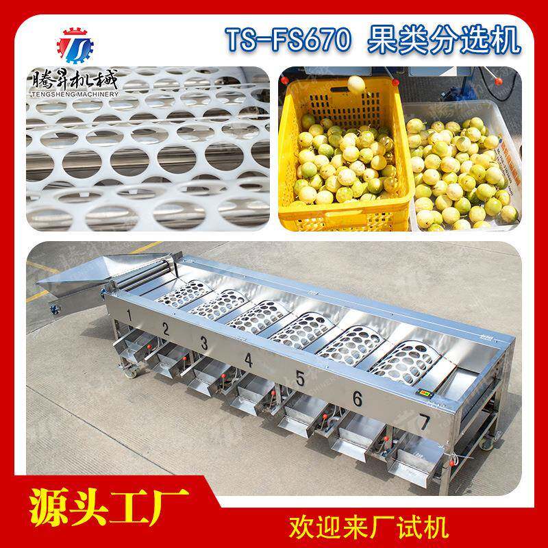 农产品挑选台 水果分拣选果机 果蔬水果分选机 柑橘分级机不伤果