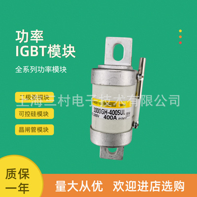 熔断器保险丝1000GH-16 20 25 32 40 50 63 80 100 125 160ULTC