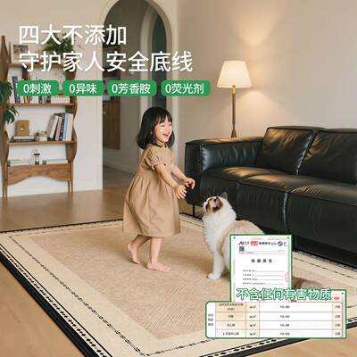 可kcx24122洗地客厅法毯式古风双层可拆卸机洗地垫复拆中古茶几隔