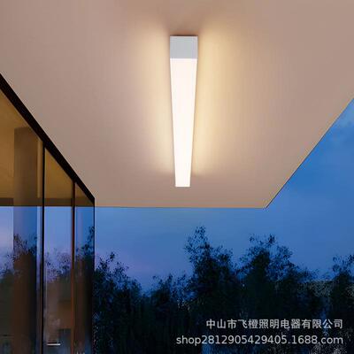 光房专3085用吸顶阳灯阳棚户外灯阳台入户防雨走廊顶灯长条露光台