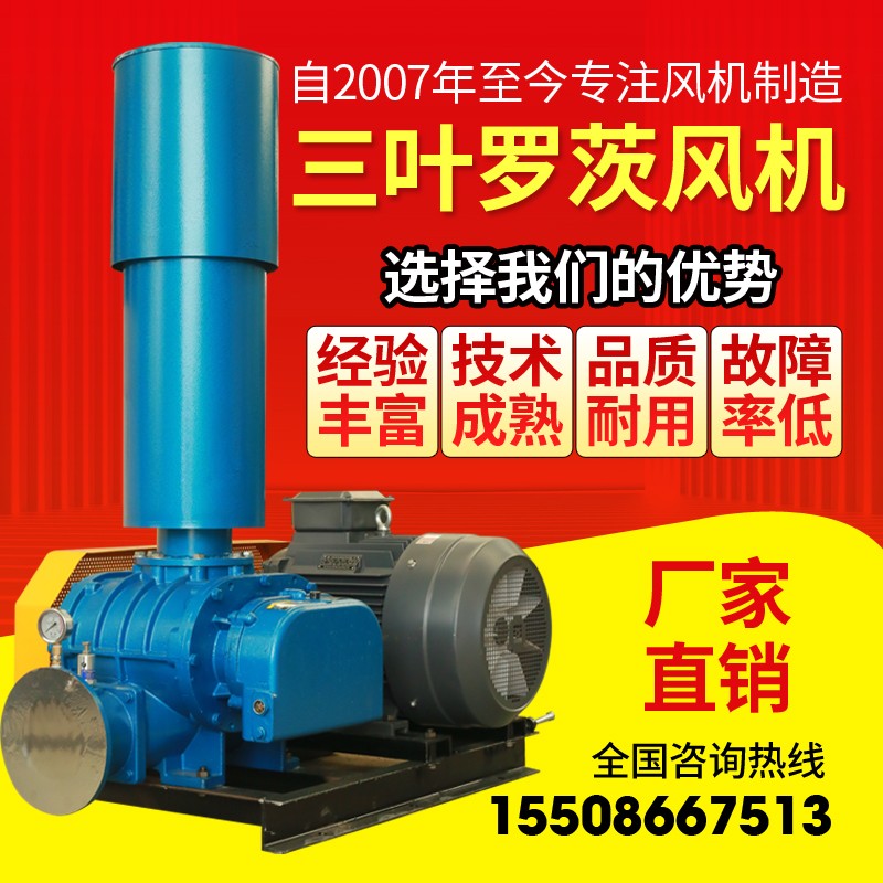 罗茨风机 污水处理 罗茨鼓风机 水产养殖增氧机 三叶罗茨风机高强