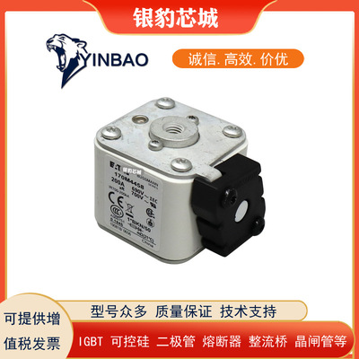 170M4464-170M4469熔断器
