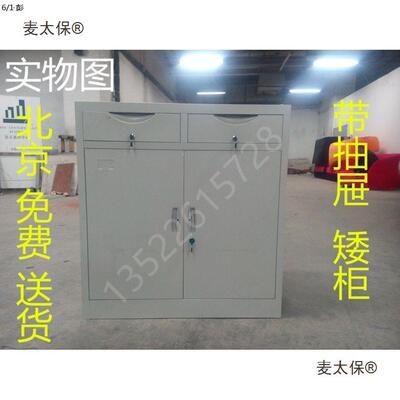 不锈钢储锁物柜户外特钢制铁皮柜单节柜顶柜文件卖矮柜带柜JDR麦