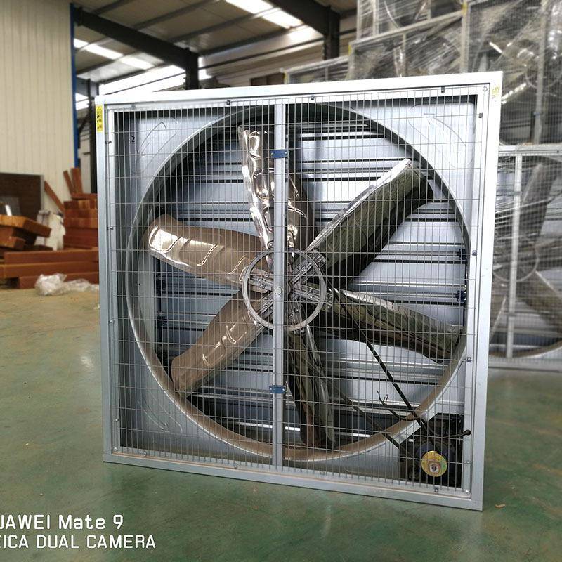 车间降温负压风机 畜牧养殖节能降温设备 温室大棚工业负压风机