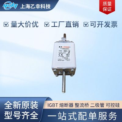 巴斯曼熔断器  170M3984 170M3985 170M3986 170M3987 170M3988