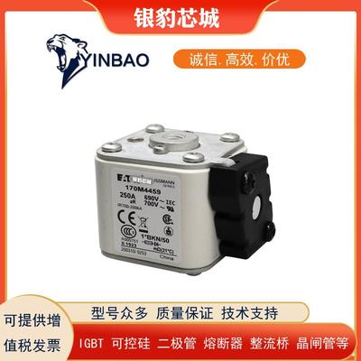 170M4464170M44645170M446CRB617M44671704M68170M04469熔断器