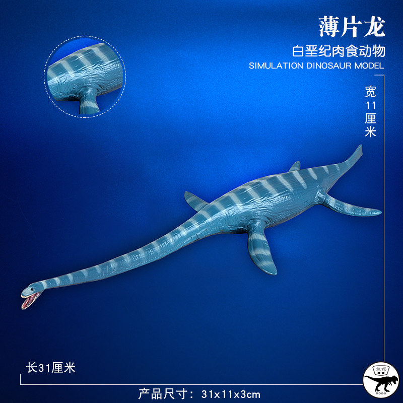 儿童史前海洋恐龙玩具远古巨兽海底生物达克龙薄片龙鱼龙仿真动物