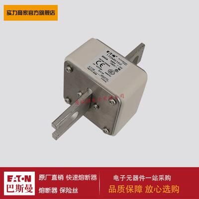 熔断器170M6162 170M6163 170M6164 170M6165 170M6166 170M6167