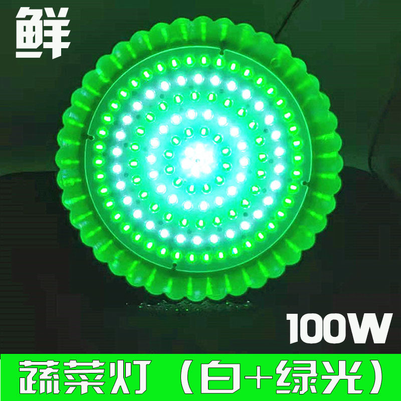 蔬菜灯Led生鲜灯猪肉灯烧腊灯市场超市熟食灯绿光超亮